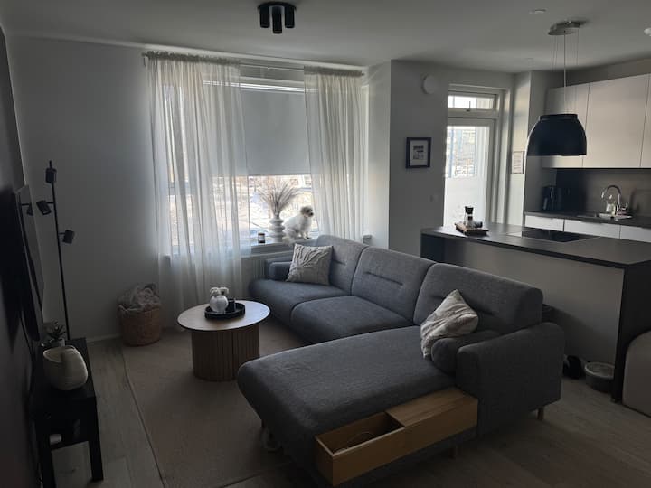 Tidy And Comfortable Apartment Reykjavík - Islandia