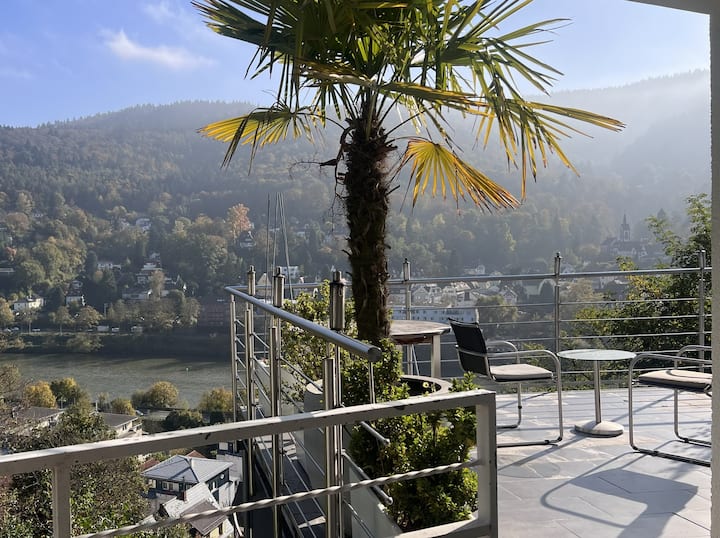 Room In Appartment With Scenic Terrace - Heidelberg
