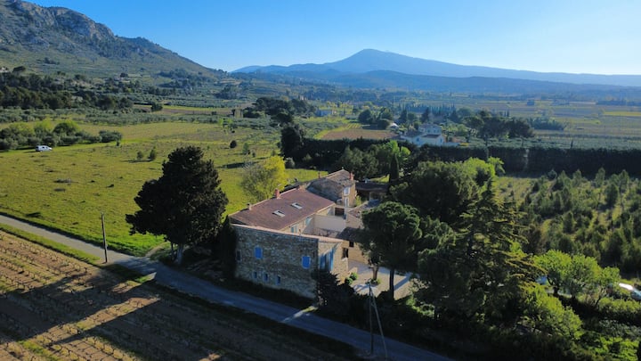 Charmante Chambre Dans Un Mas Provençal Typique - Carpentras