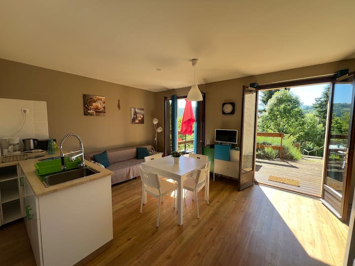 Gîte Spacieux Avec Vue Pyrénées – Songe Du Valier - Seix