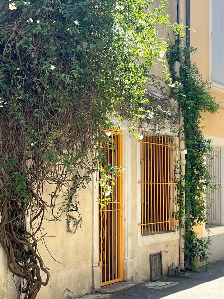 Charmante Maison Jaune La Roquette Centre Ville - Arles