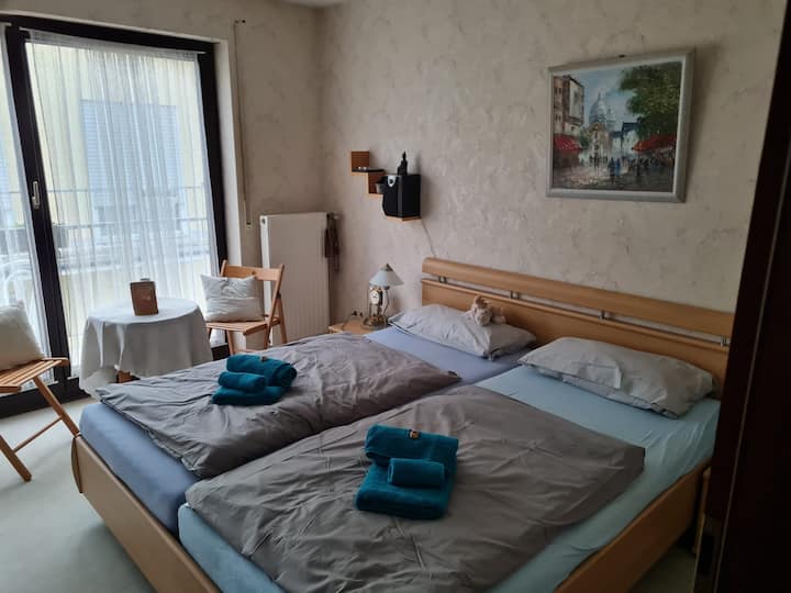 Drachenfels Nest - Bad Honnef