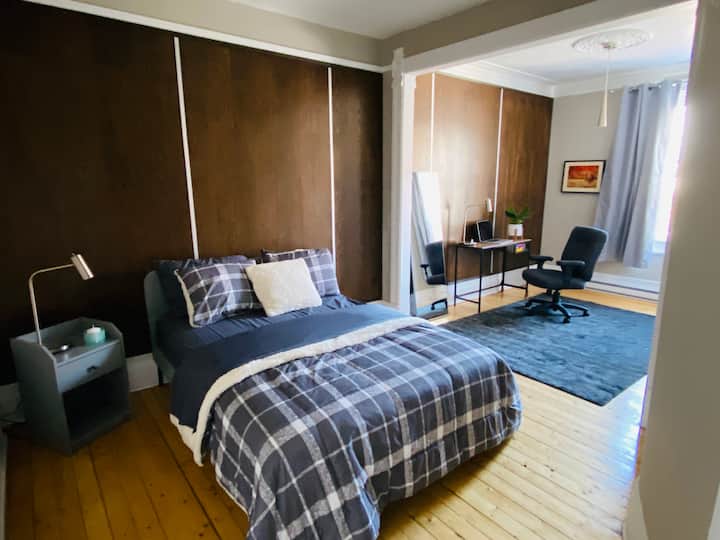 Spacious And Bright Large 3 1/2 In Sud Ouest Mtl - Montreal