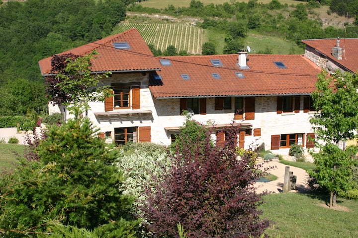 Maison Entière Avec 2000 M2 De Terrain Paysagé. - Ambérieu-en-Bugey