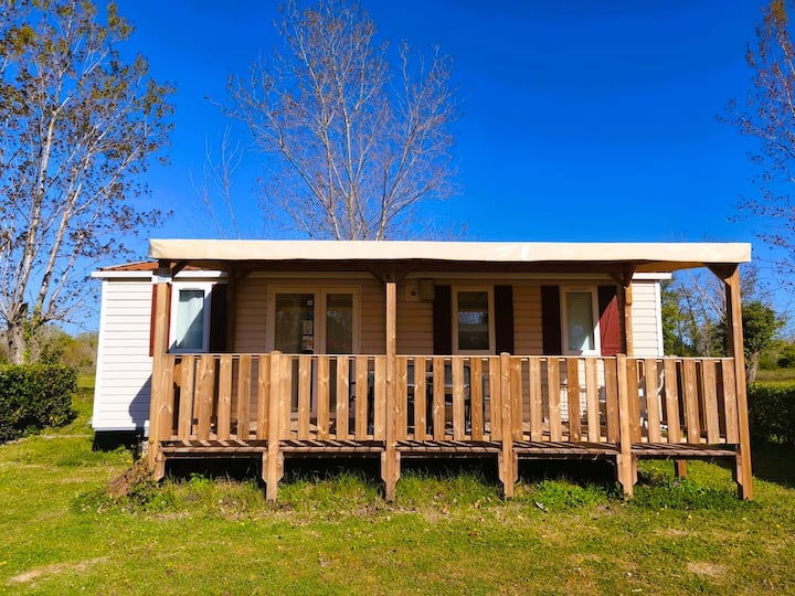 Bungalow Camping 4*, Piscine Chauffée, Clim - Cavaillon