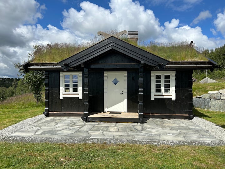 Sjarmerende Liten Hytte (Anneks) Hol - Norvège