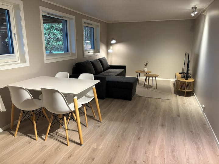 Moderne Kjellerleilighet Nær Preikestolen - Groenland