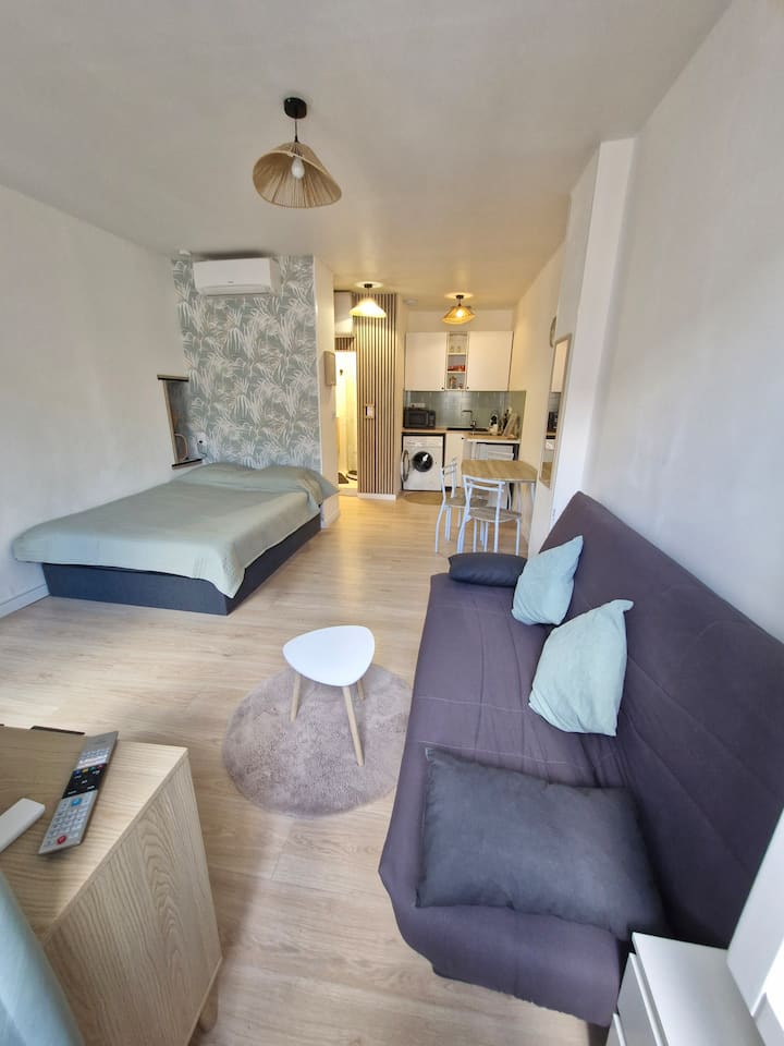 Studio 4 Places - ibis Budget Millau Viaduc