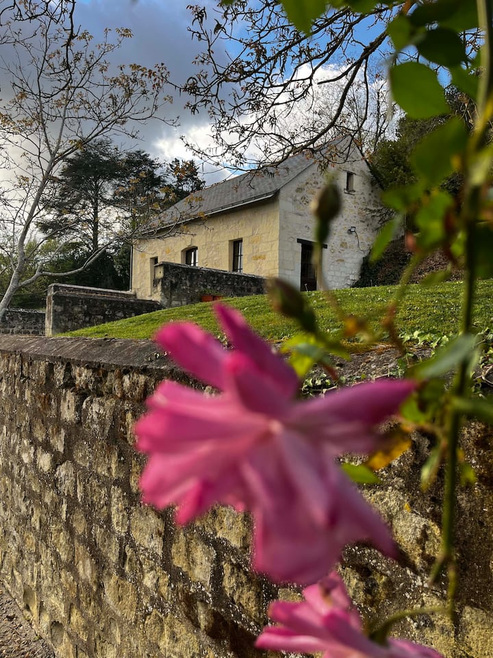 Le Clos Des Cathelinettes - Chinon