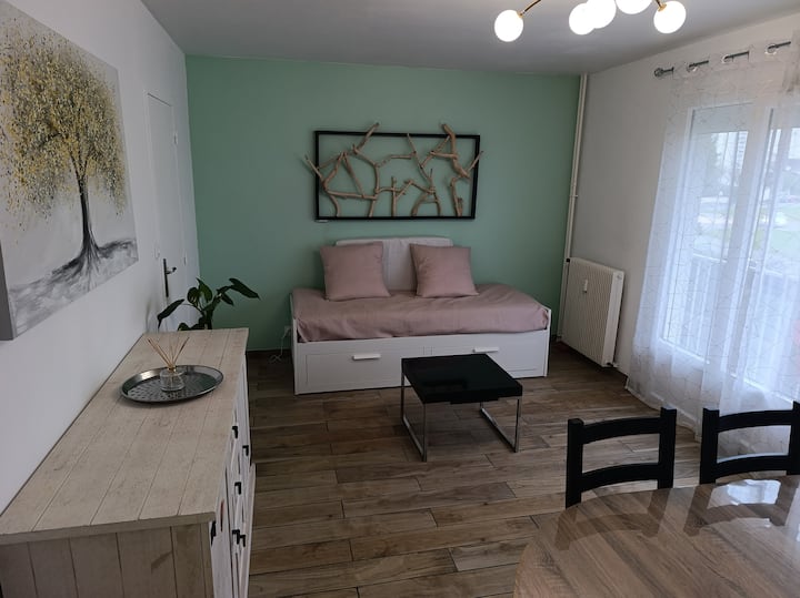 Beau T1 Idéalement Situé - Orléans