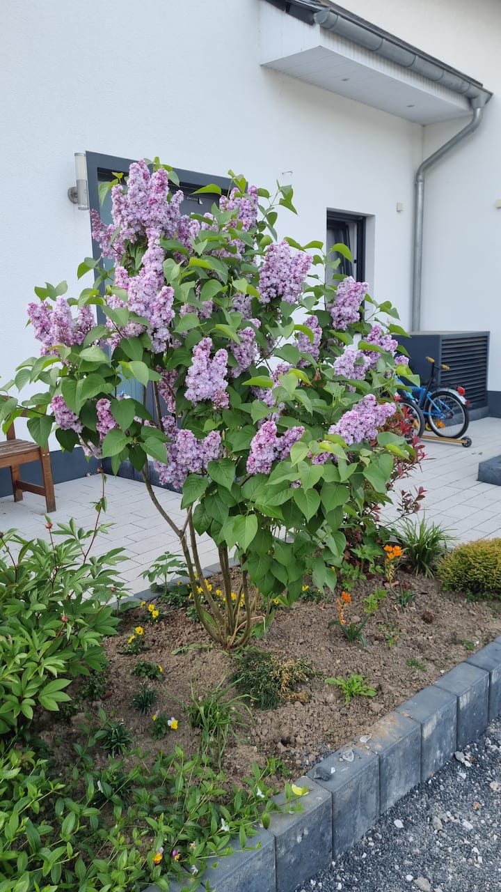 Modern Furnished Family House Near Cologne Airport - Cologne