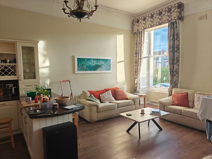 Extremely Spacious Apartment In Victorian Building - Bray