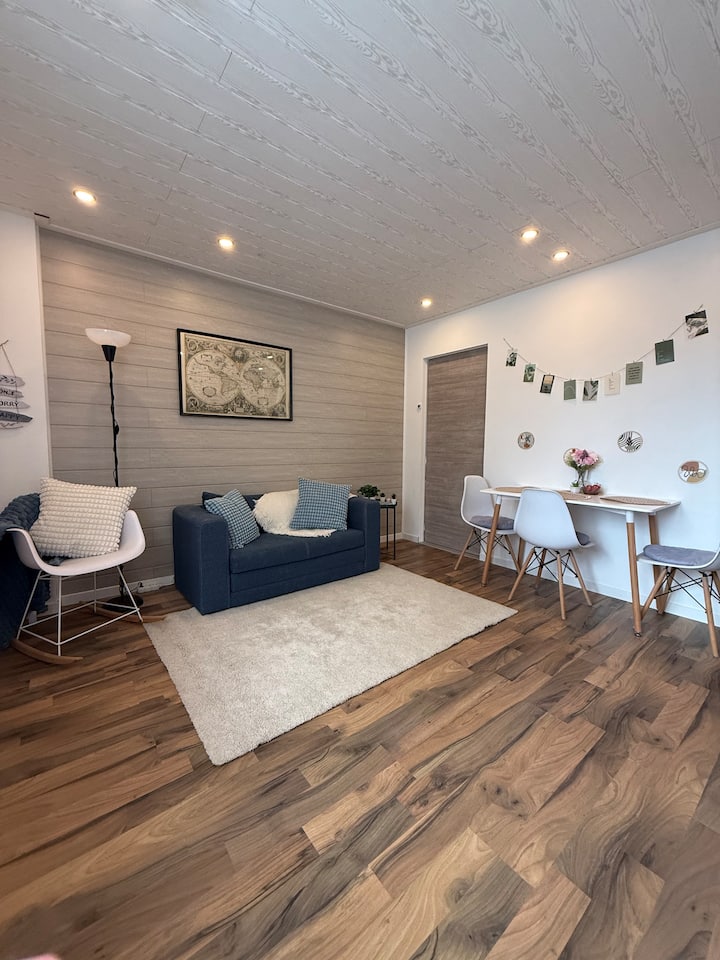 Nid Alsacien : Cosy & Climatisé - Geispolsheim