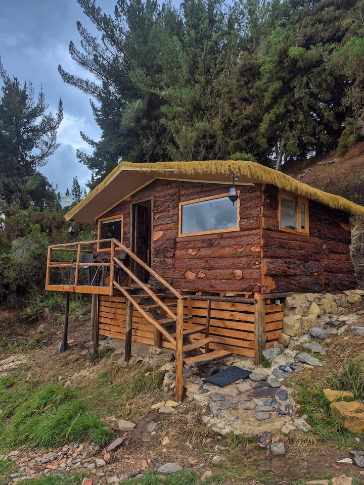 Cabaña De Pino - Aquitania