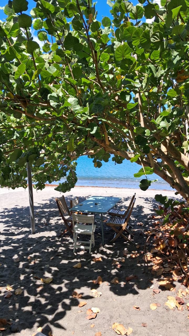 La Maison Sur La Plage - Le Morne Rouge