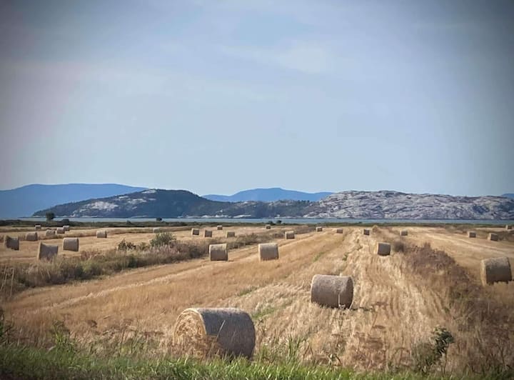 Maison Des Pèlerins | Fleuve, Lumière Et Souvenirs - Québec