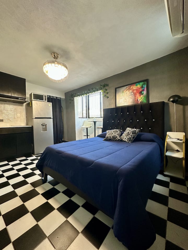 Departamento Zona Monterrey Sur - Monterrey