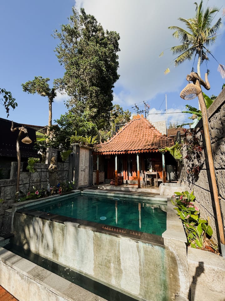 New! Entire House With Stunning View | Umah Rimba - Indonesia