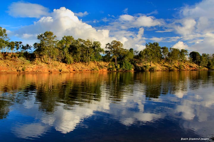 Country Classic - Wingham