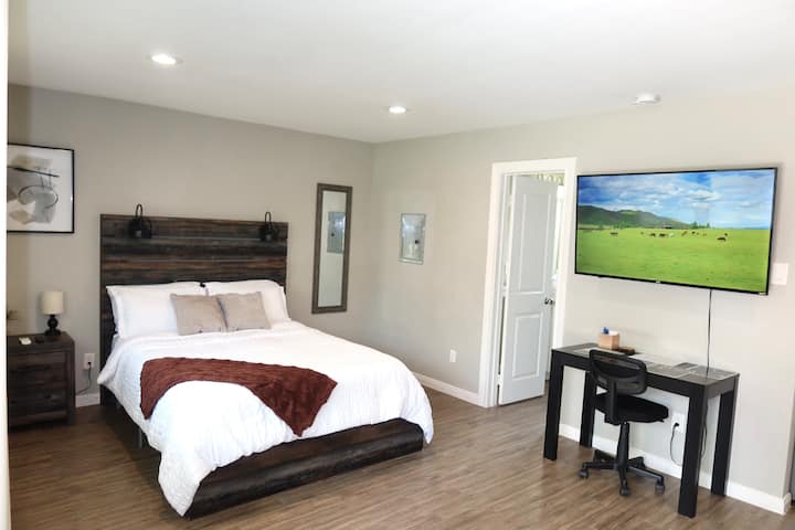 Downtown Houston Studio/free Wi-fi/parking - Houston, TX