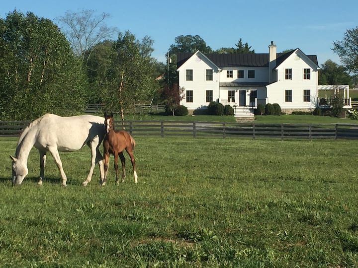 Curated 1908 Middleburg Farmhouse · Near Uchs - Leesburg, VA