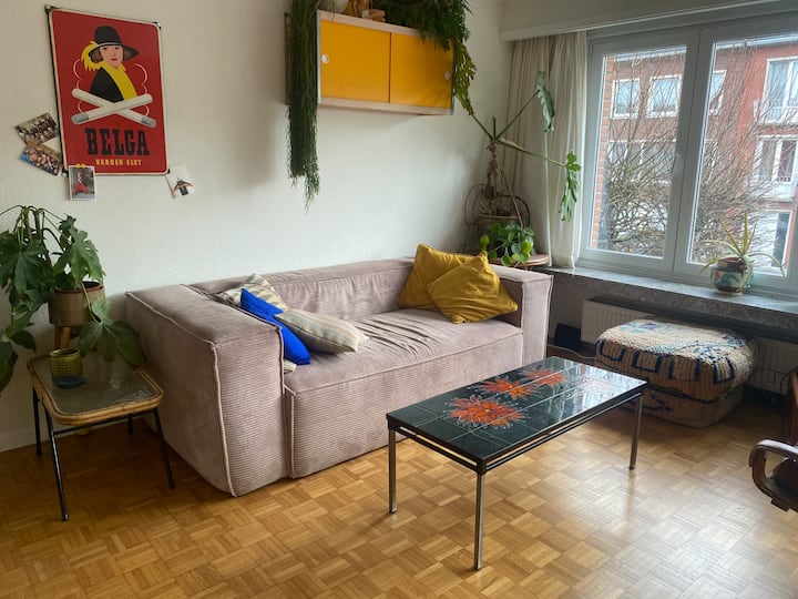 Woning Dicht Bij Park Met Ecologische Zwemvijver - Anvers