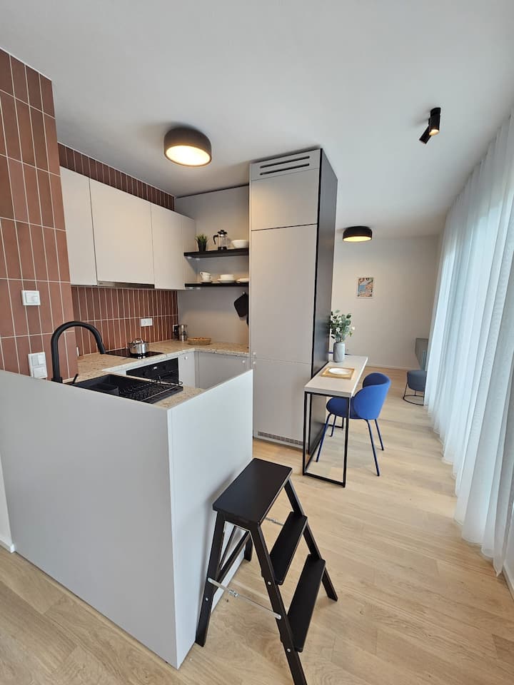 Modern Apartment In Neupasing For Short Stay - Munich
