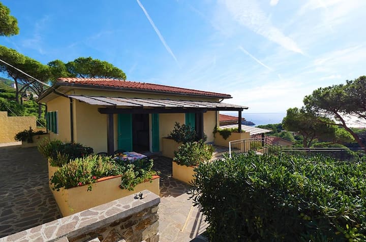 Appartamenti Con Vista Mare Capoliveri - Capoliveri
