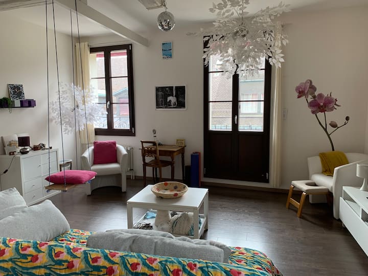 Au Coeur De La Vieille-ville - Vevey