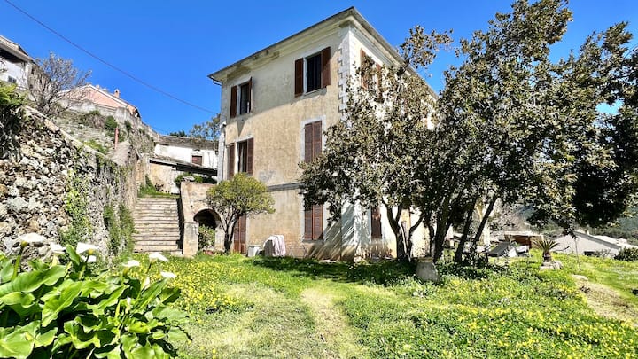 Pépite Du Cap Corse - Appartement 7 Personnes - Brando