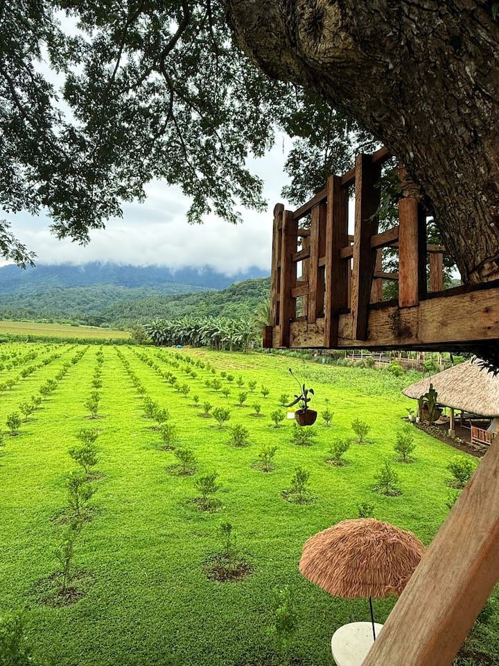 Farmhouse Staycation With Mountain Views - Pili