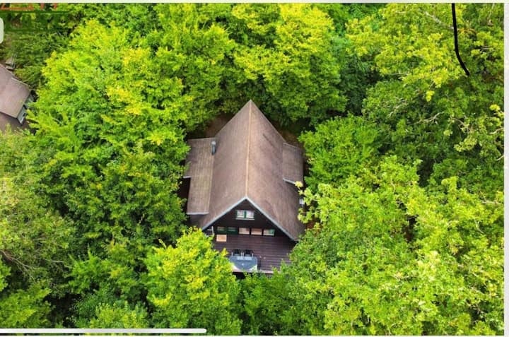 Boshuisje In De Belgische Ardennen. - Belgique