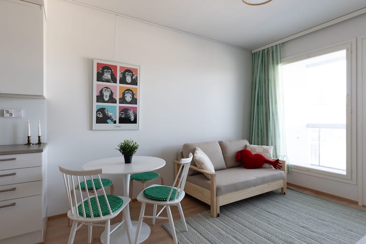 Mukava Ja Kodikas Kaksio Kirkkotiellä! - Turku