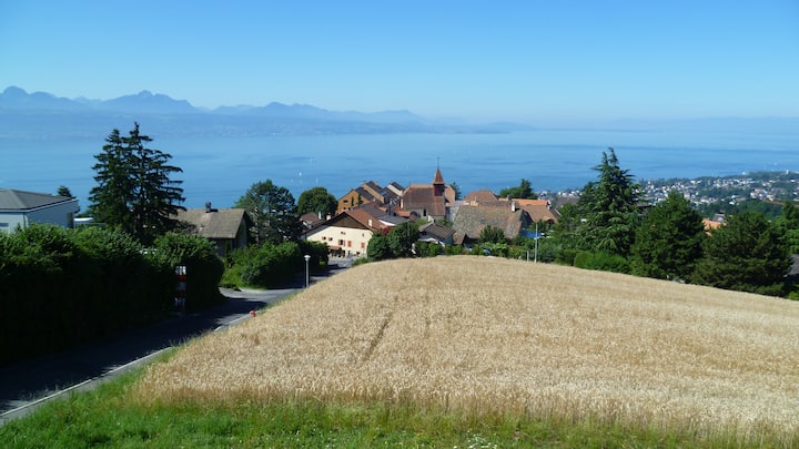 Charmant Lavaux/lac Escapade - Belmont, Lausanne - Lausanne