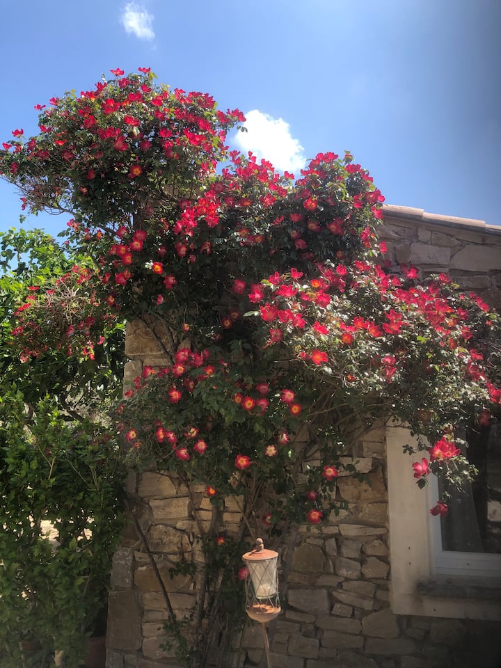 Le Cabanon En Provence - Vaison-la-Romaine