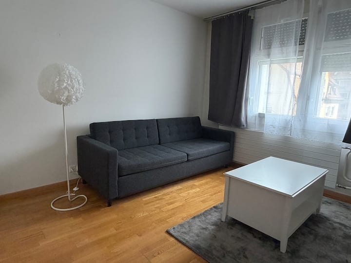 1 Zimmer Wohnung Mitten In Zürich - Zurich