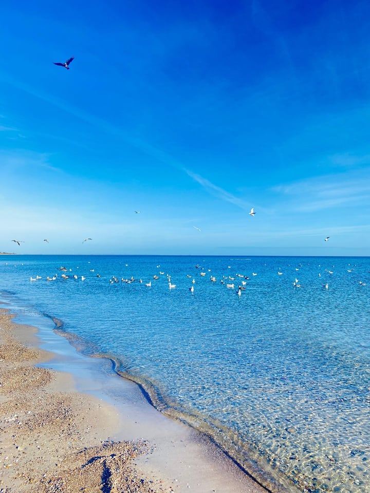 Ferienwohnung Jasmin Ostsee (312458) - Maasholm