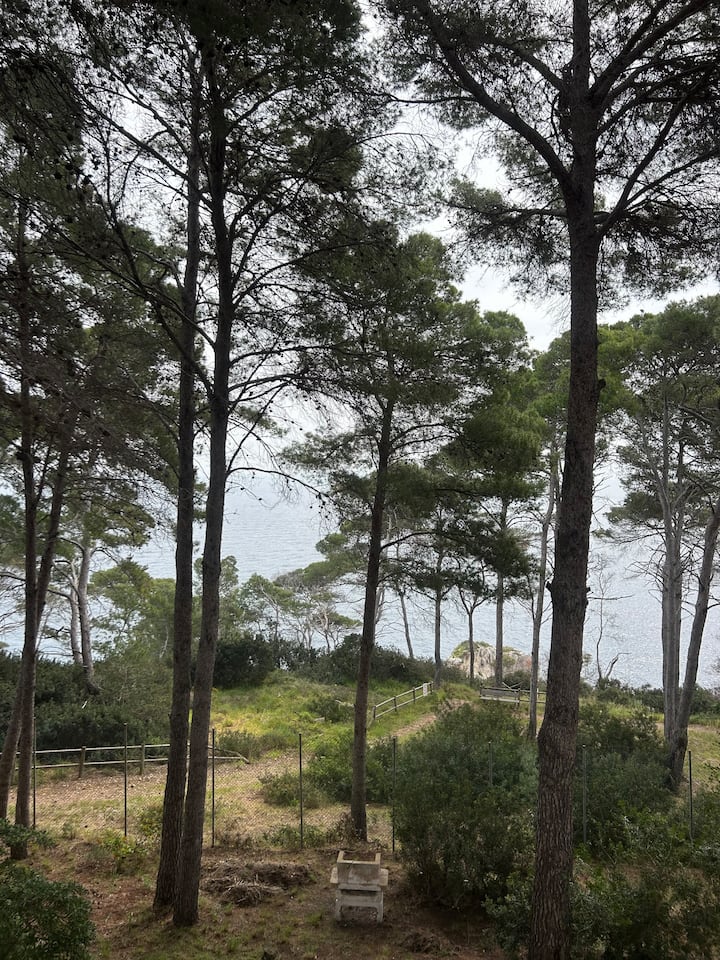 Appartamento 3- Benny - Tremiti Islands