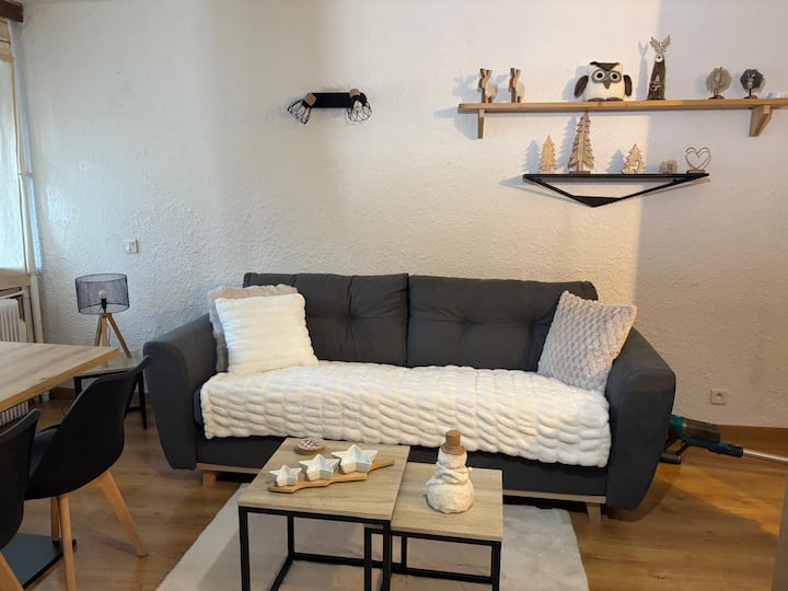 Appartement Cosy – Pied Des Pistes – Pra Loup 1600 - Pra-Loup