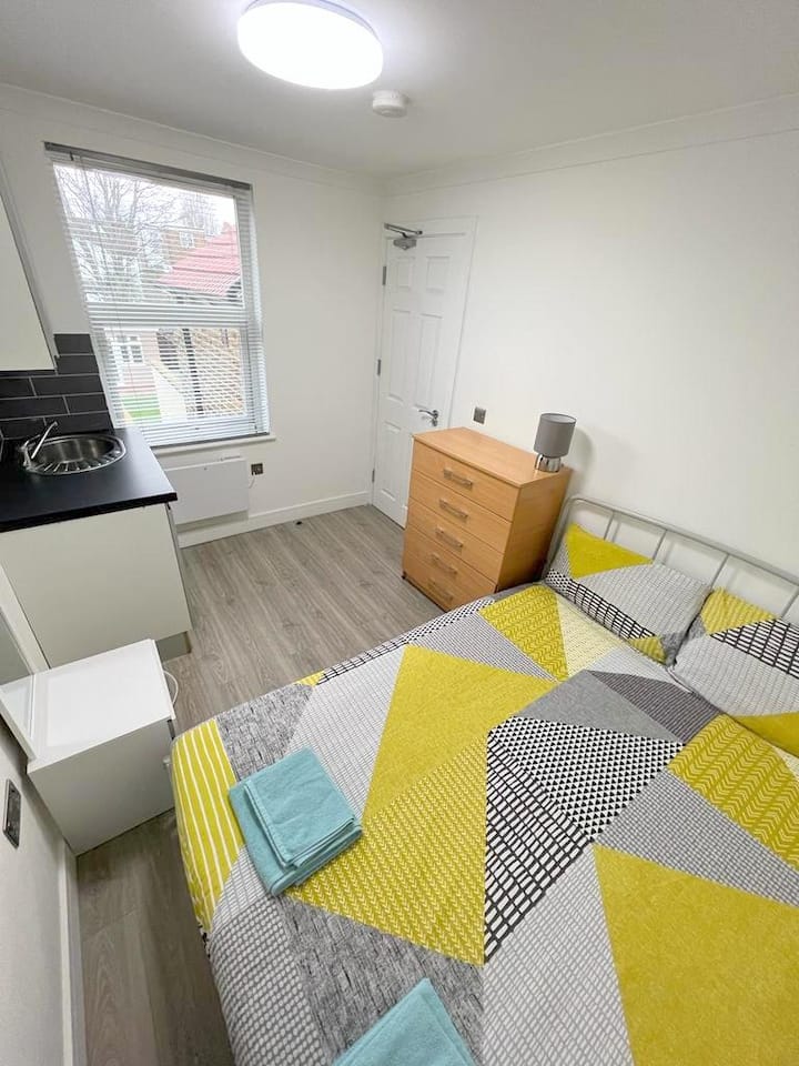 Spacious 7-bedroom House In South London - London