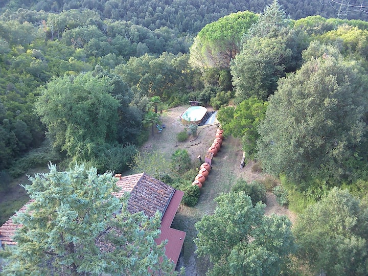 Mattacciola
Casa Lupo - Campiglia Marittima