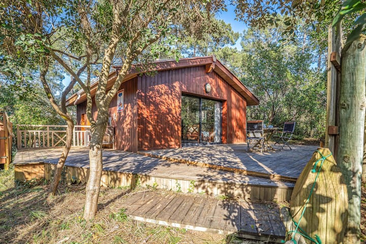 Gîte Au Cœur De La Pinède - Lacanau Océan