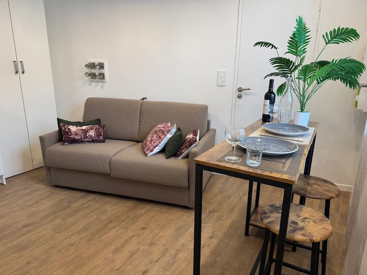 Studio Neuf -Tram à 1 Min-hôpitaux-eurexpo-parking - ibis Lyon Est Bron