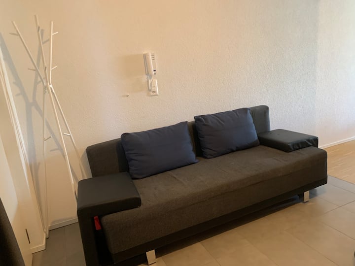 Central Appartement à 10 Minutes De La Gare. - Lausanne