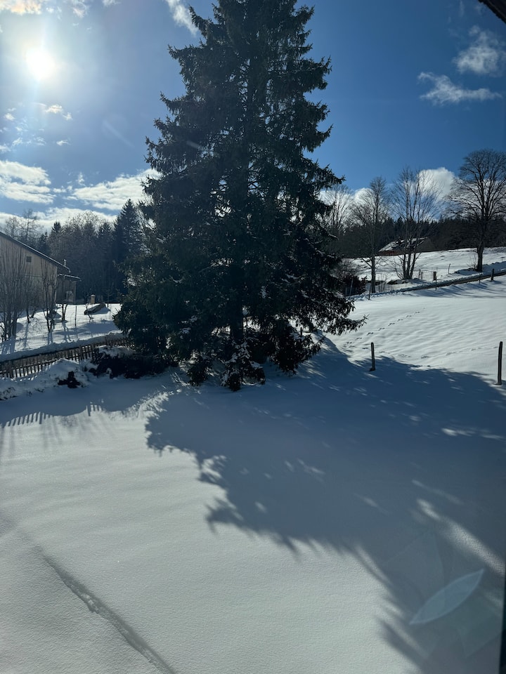 Cosy 2.5p Au Sentier | Calme & Nature - Canton de Vaud