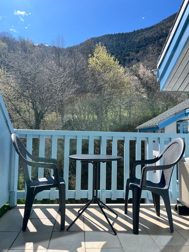 Appartement à Deux Pas Des Thermes - Aigueblanche