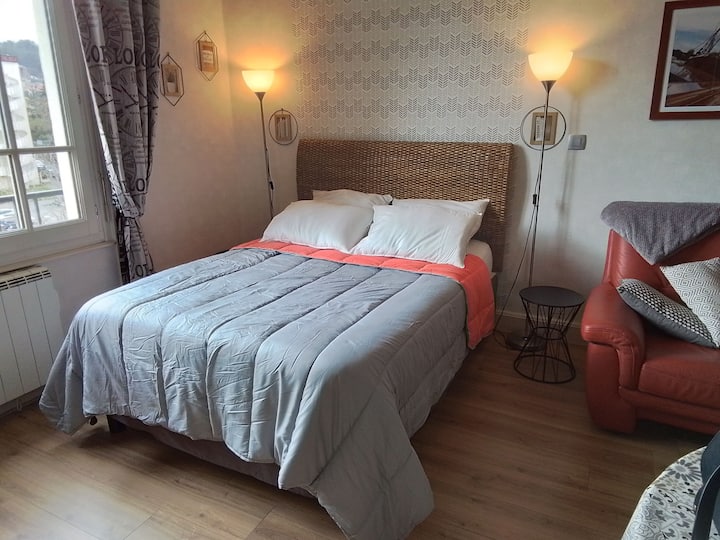 Superbe T1 3* Résidence Le Grand-hôtel. - Châtel-Guyon