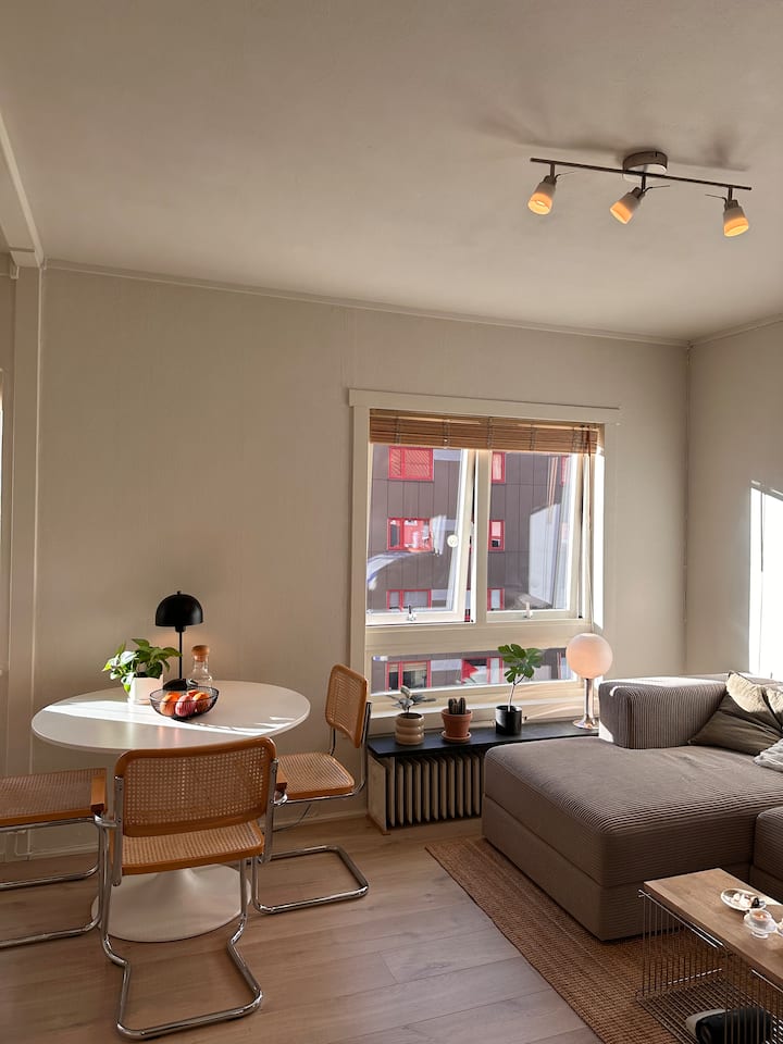 Koselig Og Sentral Leilighet På Sagene, Oslo - Oslo