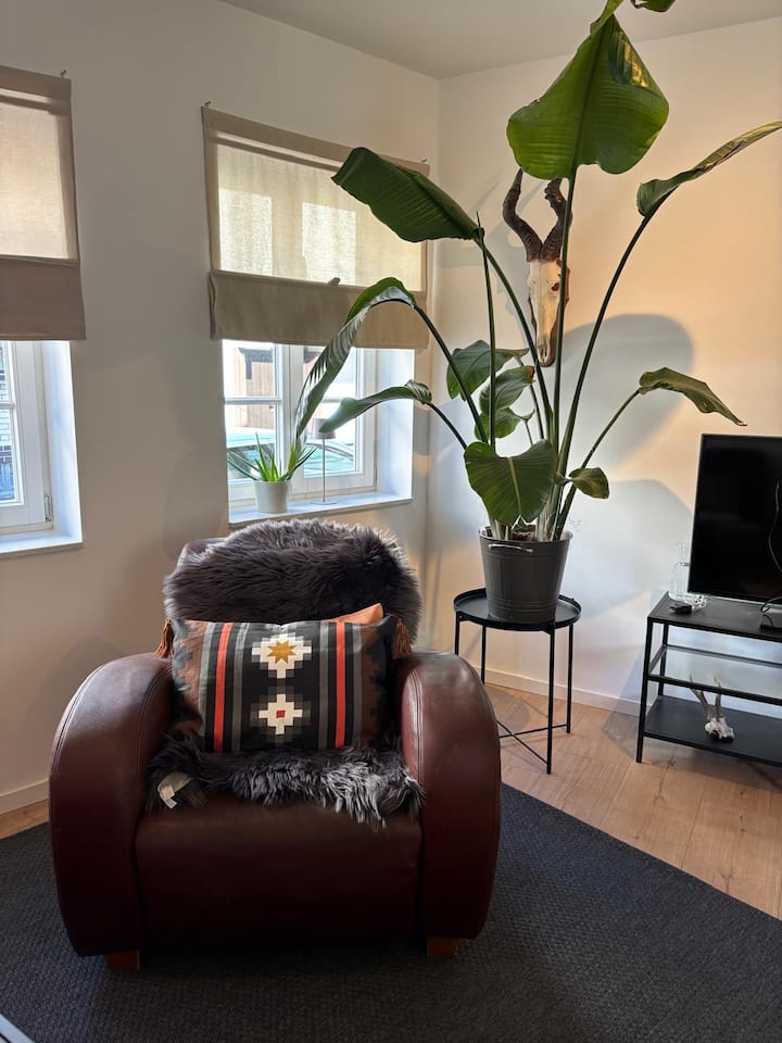 Neu Saniertes Apartment Im Zentrum-cozy Apartment - Höxter