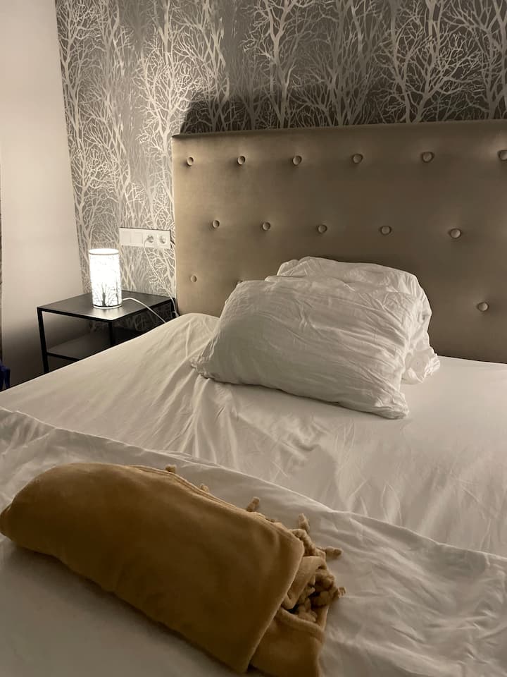 Bnb Villa Blue Ii, Heart Of Budapest - Budapest